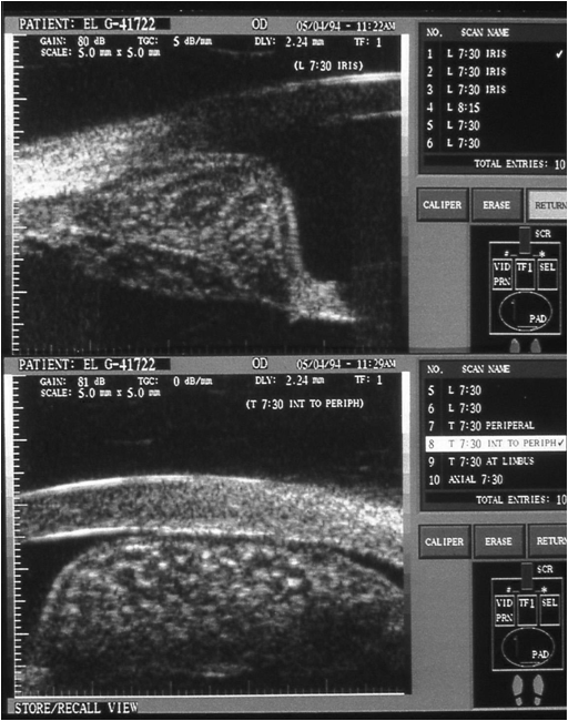 Courses and Workshops